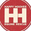 Happy Hooves Equine Rescue – Giving horses a chance at a better life.