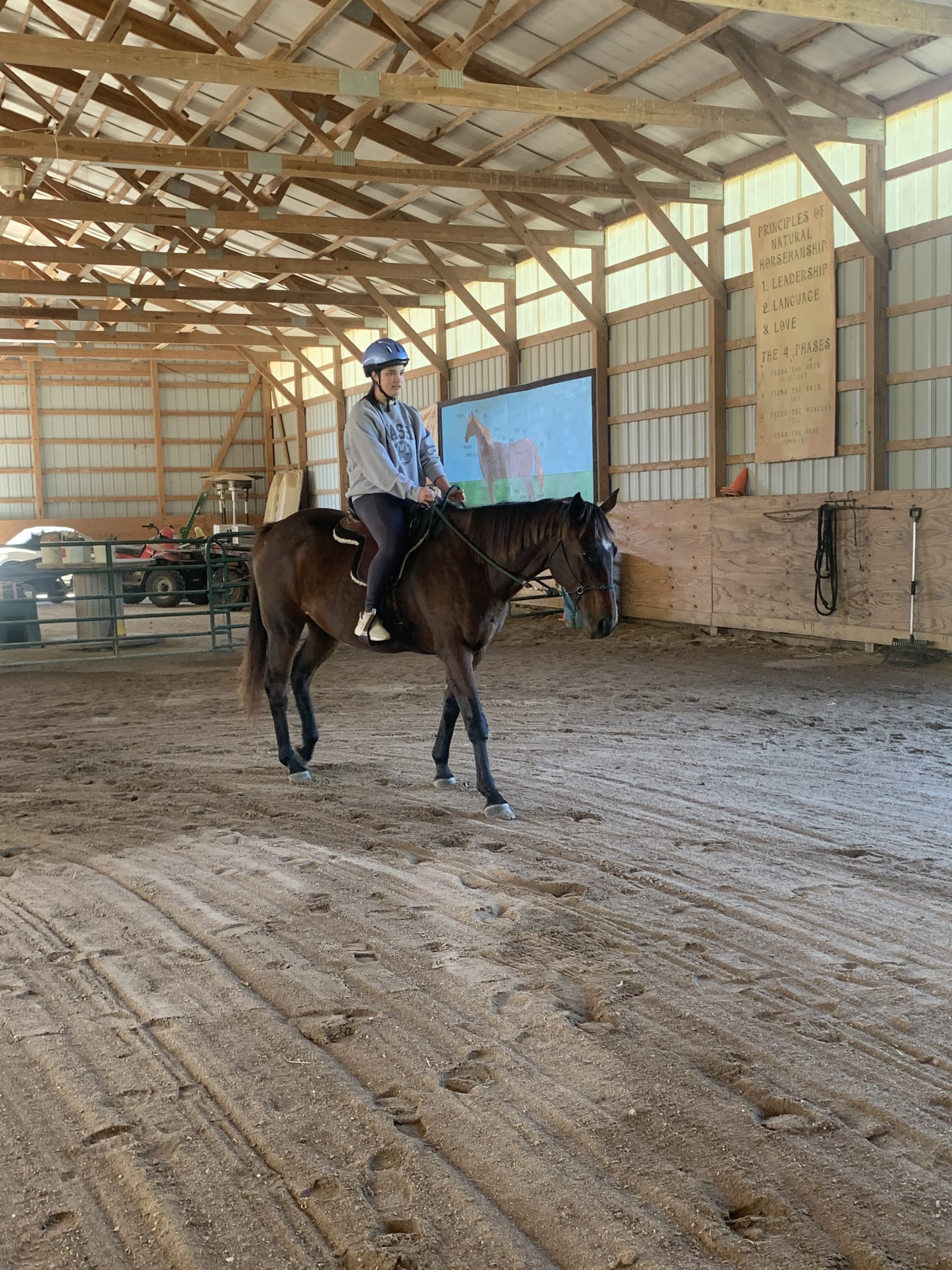 Equestrian Education