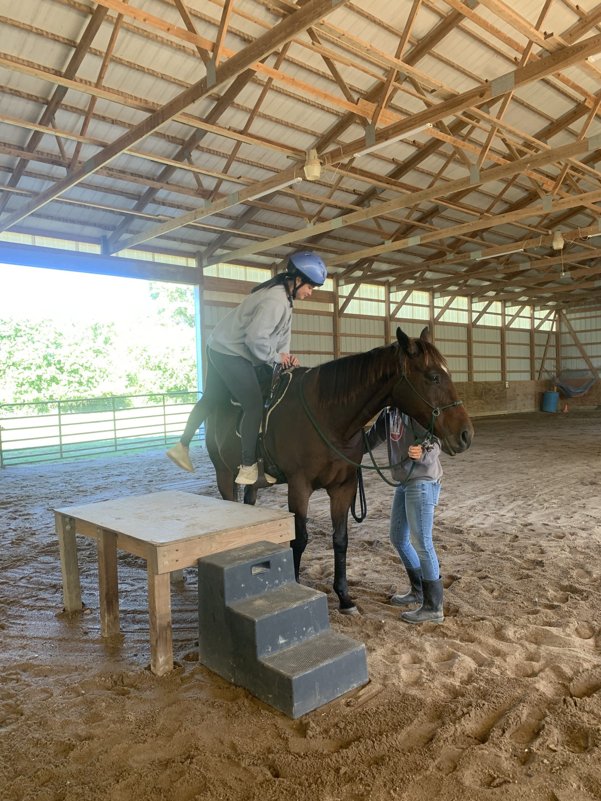 Equestrian Education