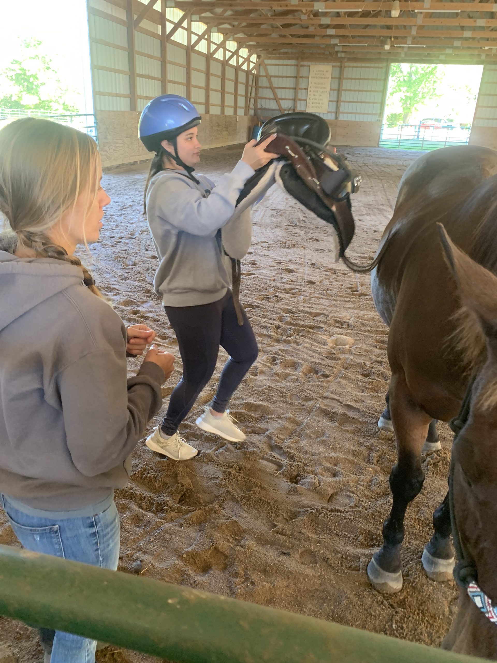 Equestrian Education