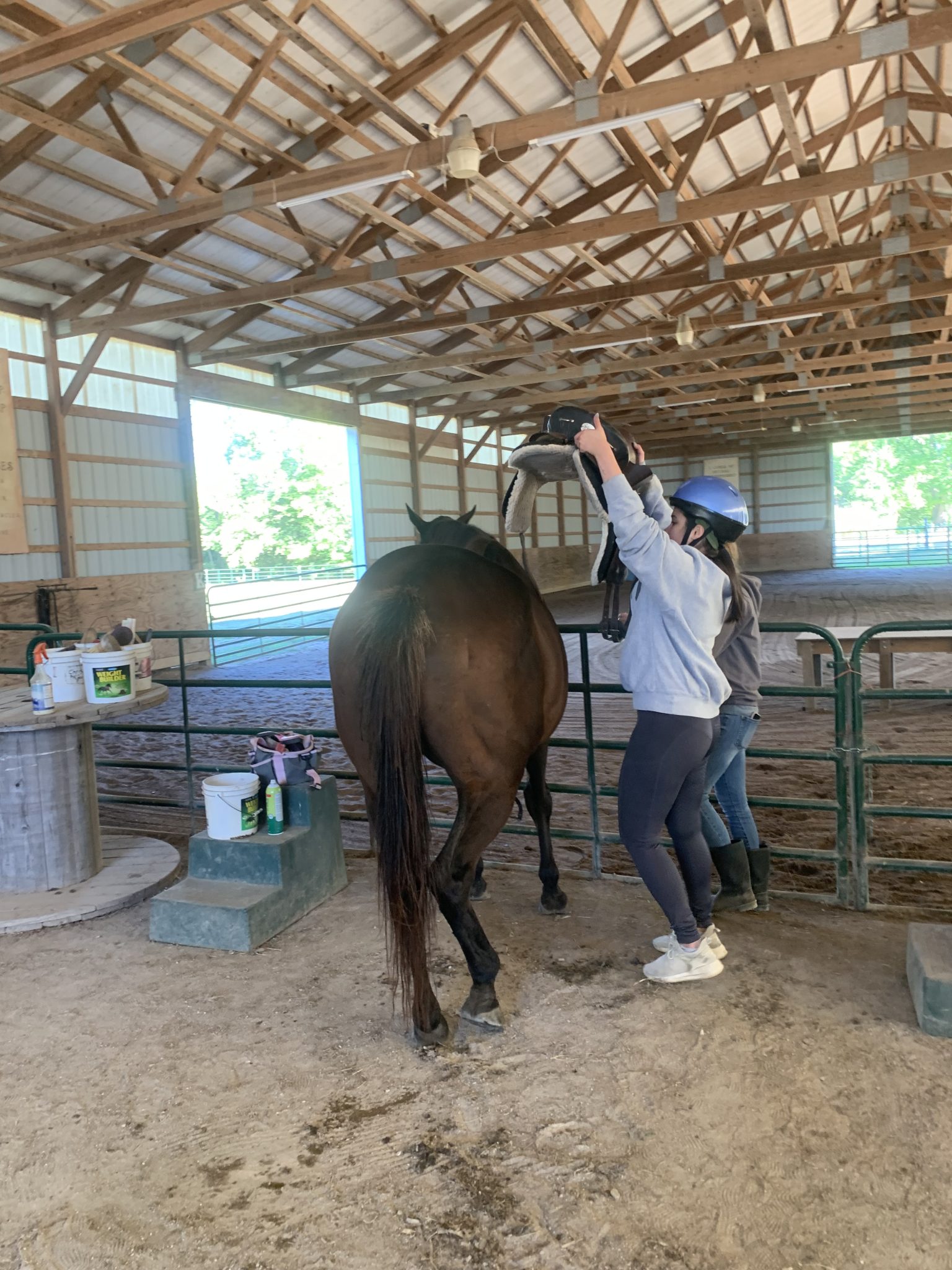 Equestrian Education