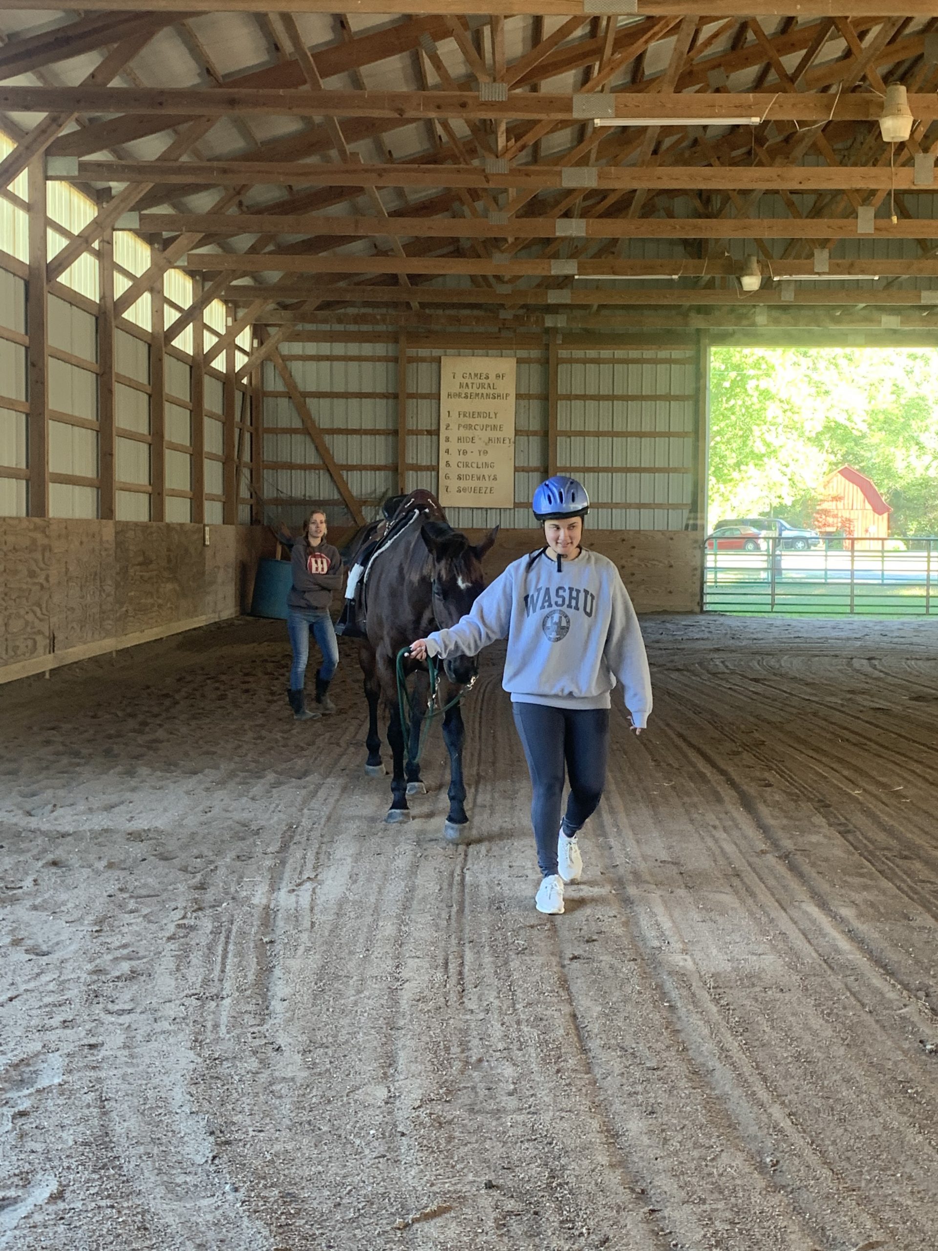 Equestrian Education