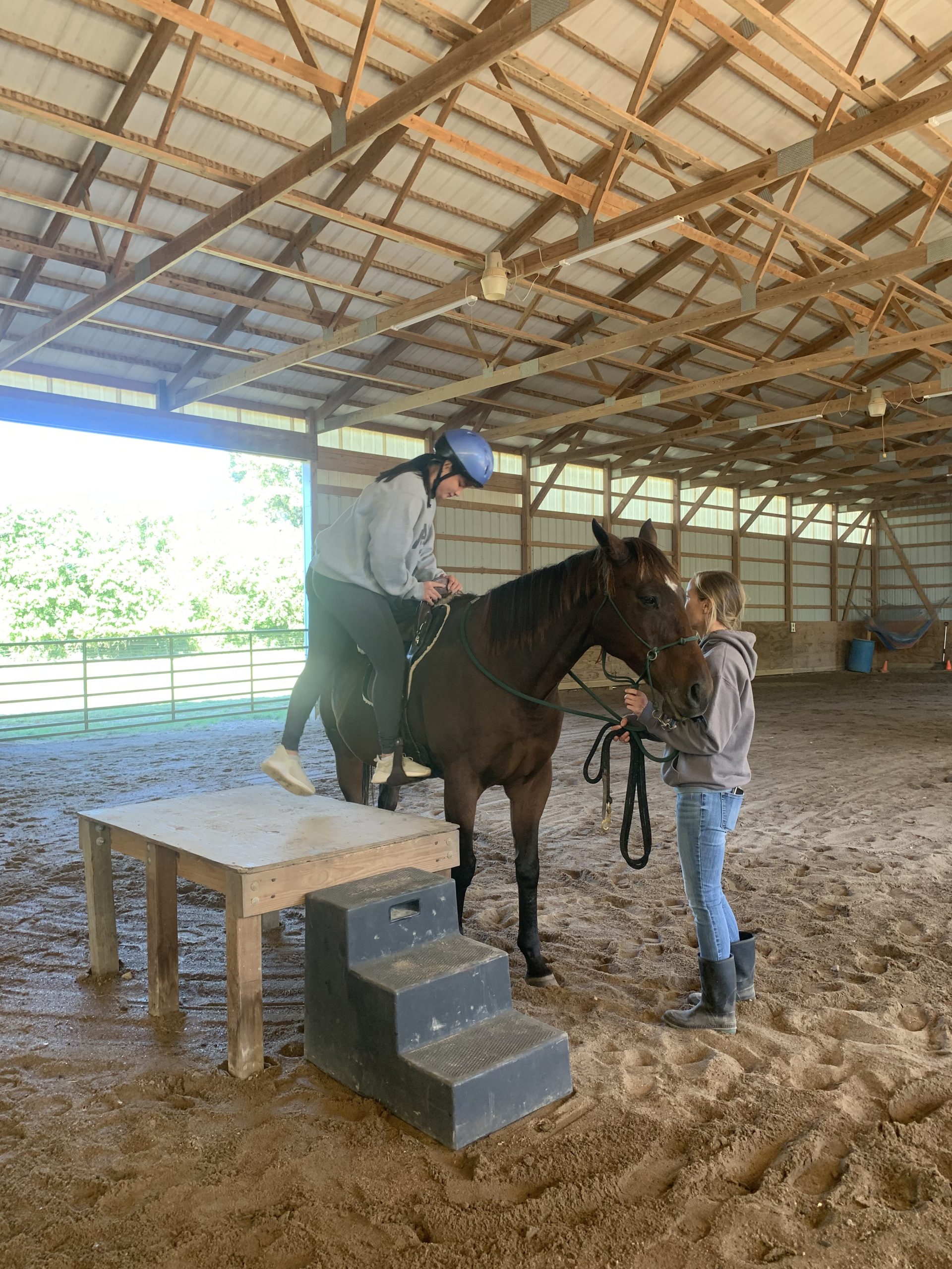 Equestrian Education